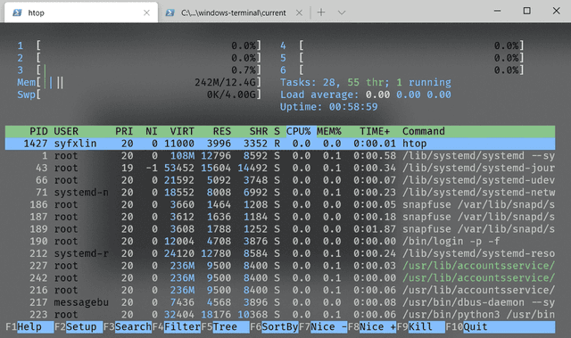 WSL2 踩坑记录 | 青空之蓝