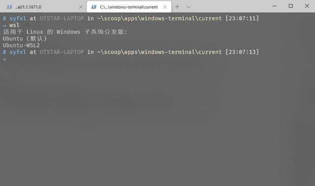WSL2 踩坑记录 | 青空之蓝